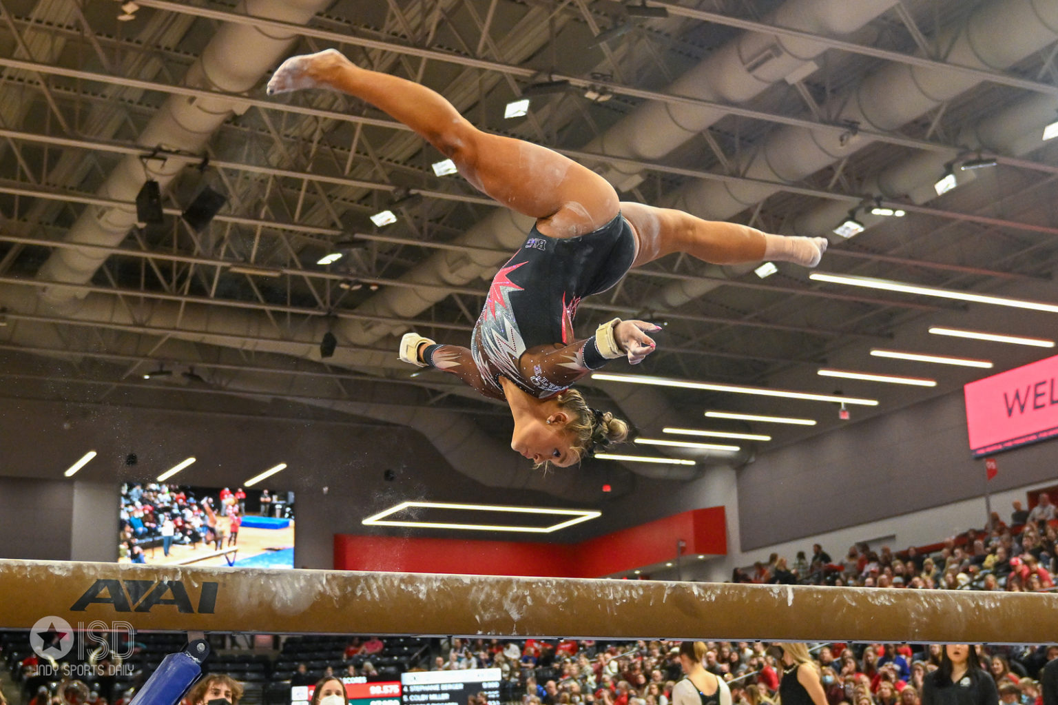 Ohio State Gymnastics Defeated Michigan State